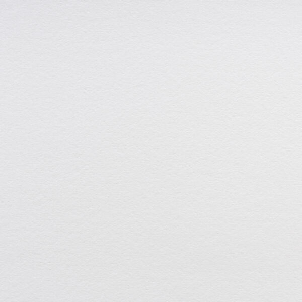 MUNKEN PRINT CREAM 18 (Feuilles) - ARCTIC PAPER - Procop eShop