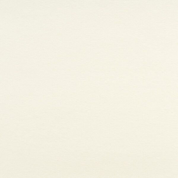 MUNKEN PRINT CREAM 18 (Feuilles) - ARCTIC PAPER - Procop eShop