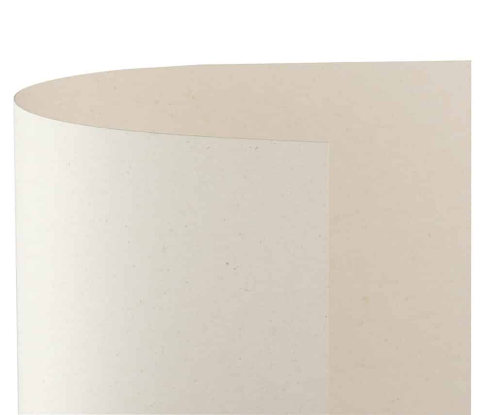OYSTER - REMAKE - FAVINI - Procop eShop
