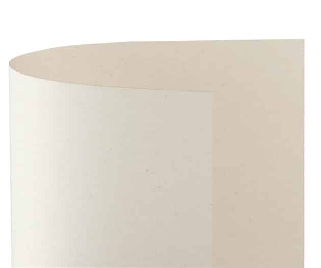 OYSTER - REMAKE - FAVINI - Procop eShop