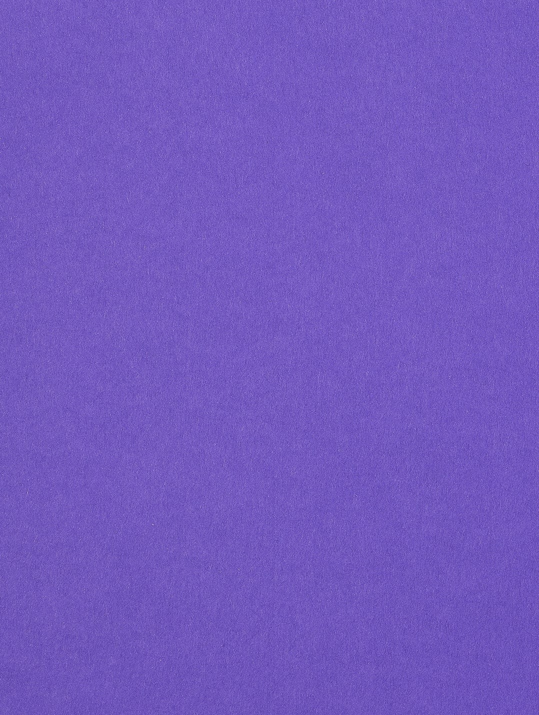 Purple | Colorplan